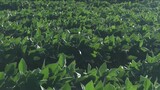 CEO of Landus Cooperative speaks out after 10-percent of workforce is ...