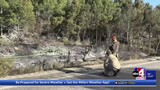 Logan Canyon reopens after fire forces overnight closure – ABC4 Utah