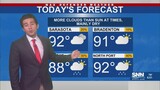 Florida man files lawsuit against airboat company after alligator bites ...