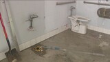 Lauridsen Skatepark bathrooms closed due to ‘extreme’ vandalism – who13.com