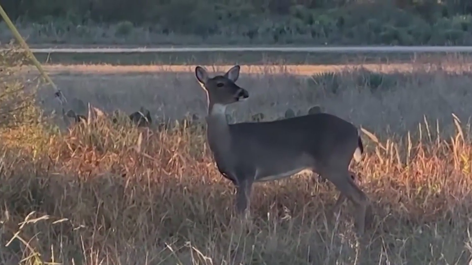 TPWD: 7 boating incidents, 2 fatalities over Labor Day weekend | KXAN ...