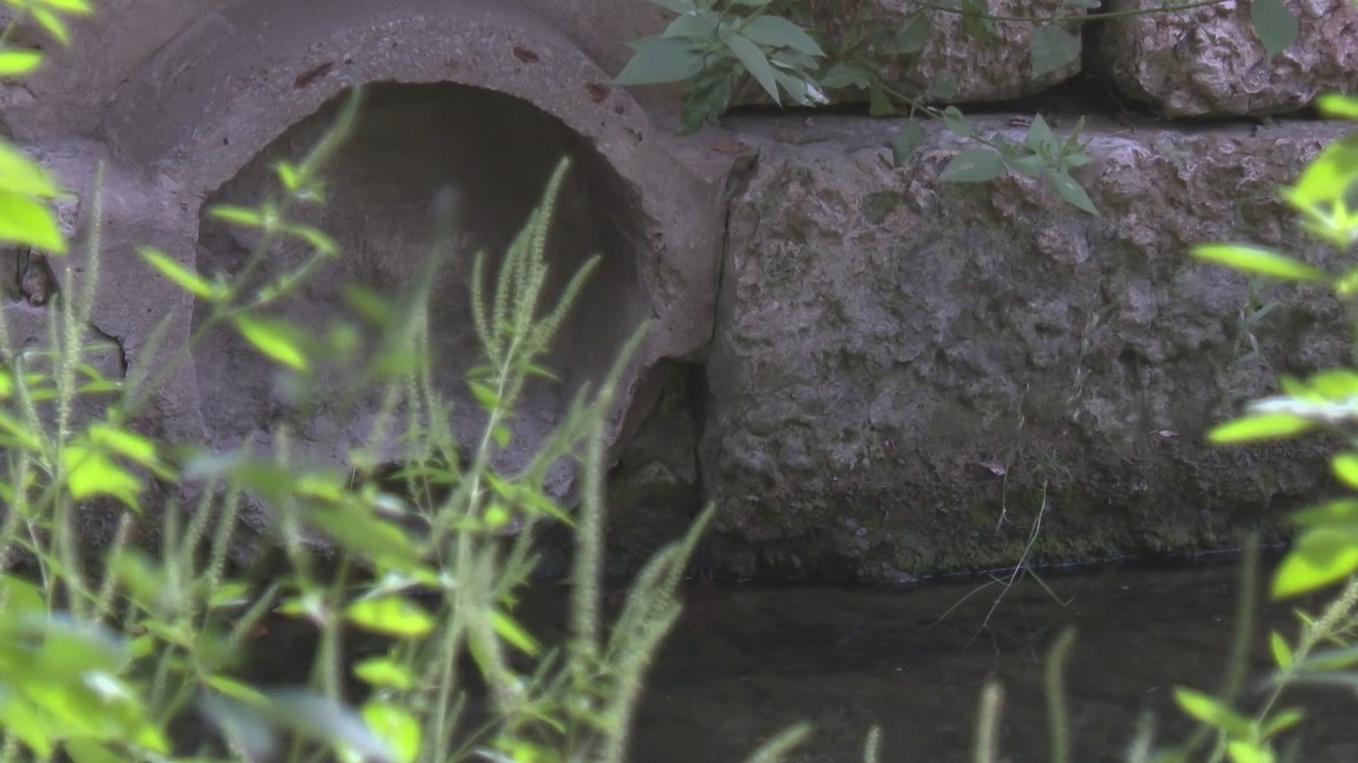 Interactive map shows which Texas cities will be underwater in 2050 | KXAN Austin