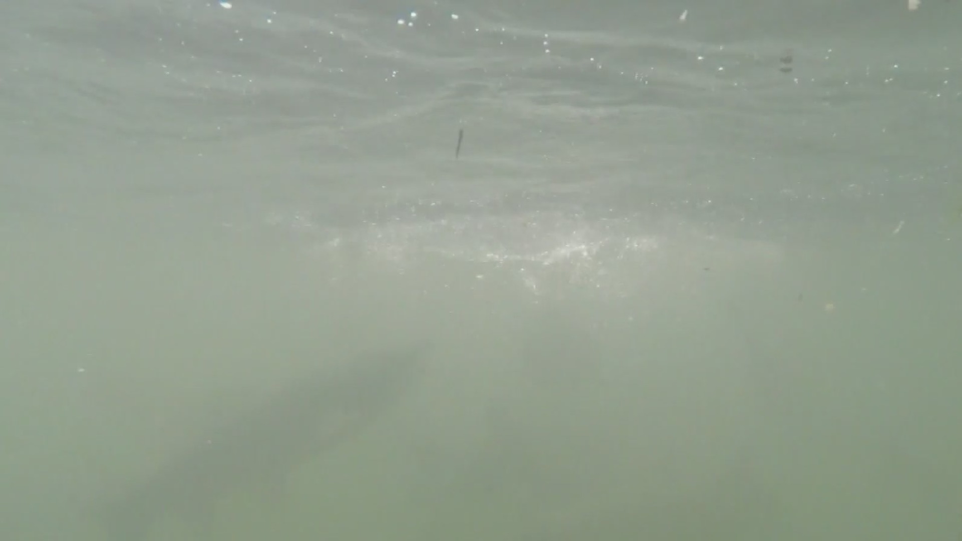 Interactive map shows which Texas cities will be underwater in 2050 | KXAN Austin