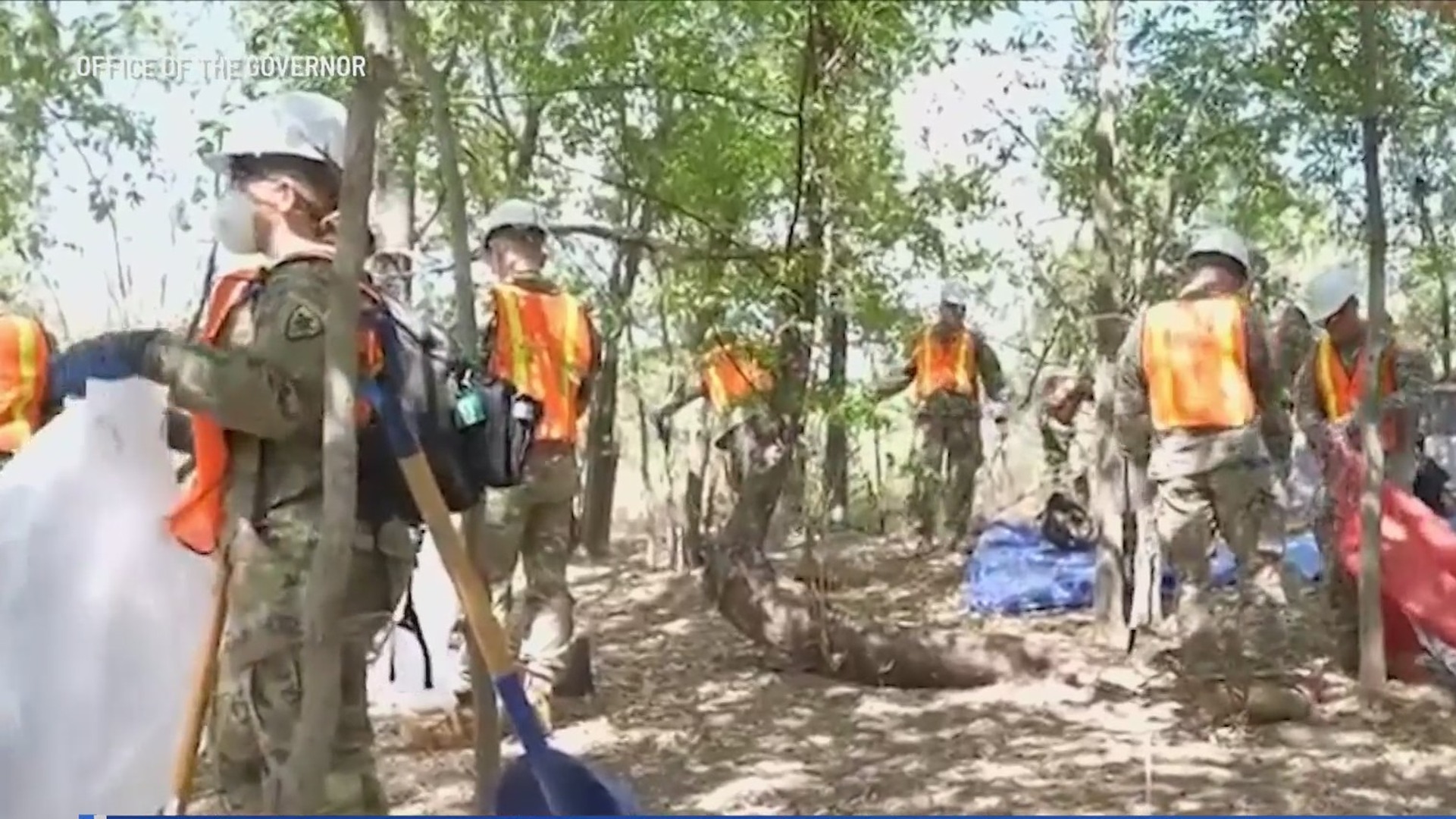 What is Austin asking about? These are the most common 311 requests ...