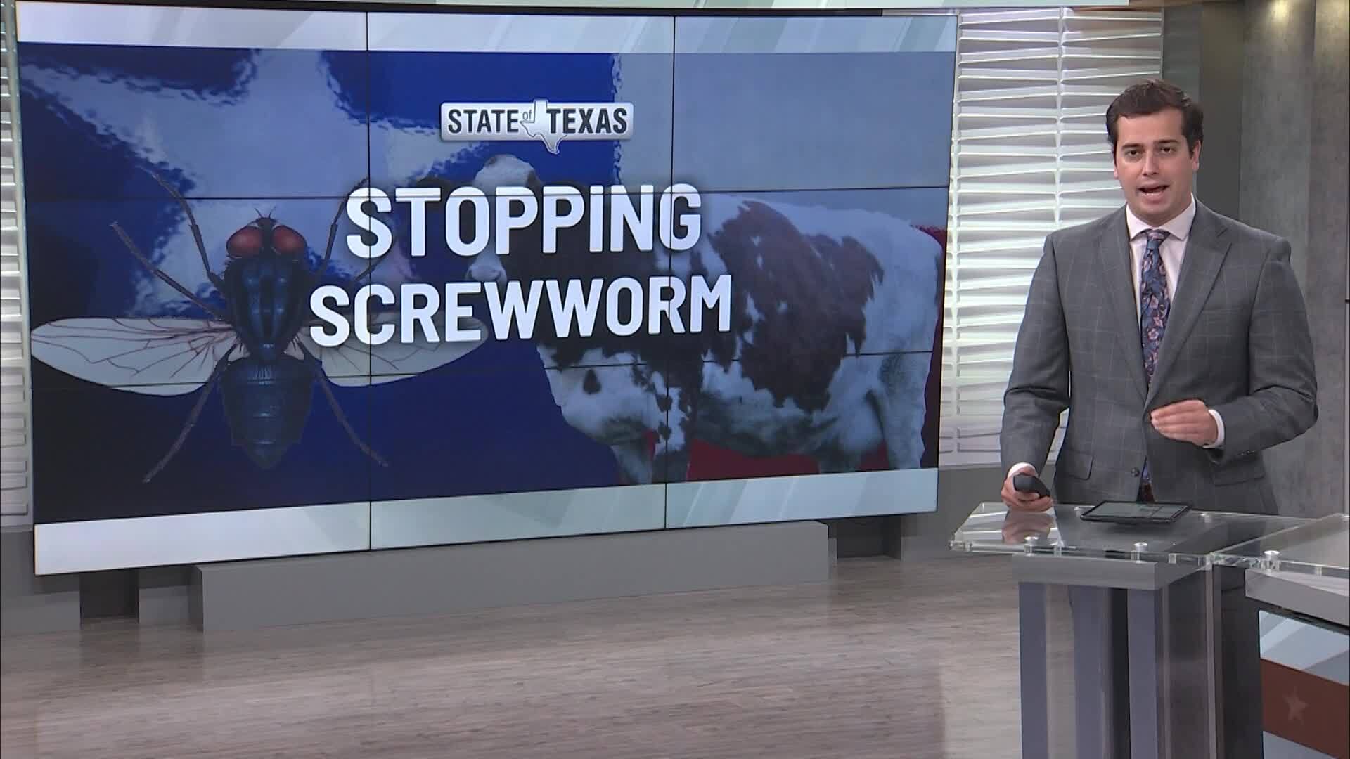 State of Texas – Stopping the screwworm – KXAN Austin