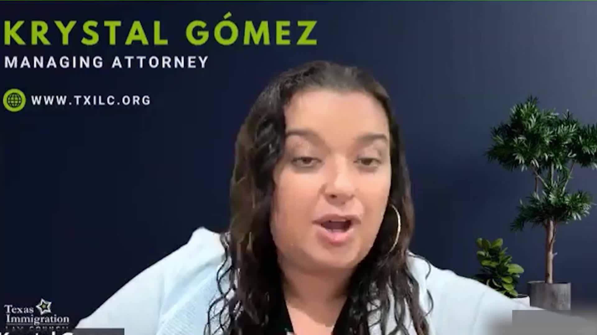 kelly meyer newsnation