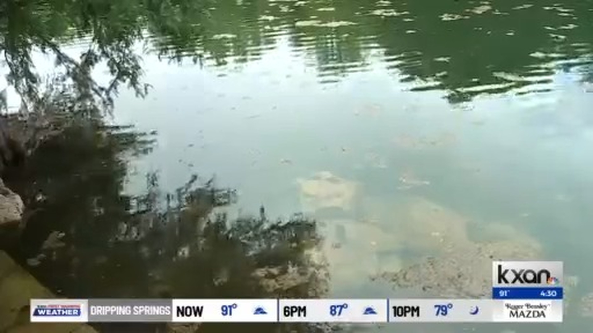 City of Austin warns of blue-green algae – KXAN Austin