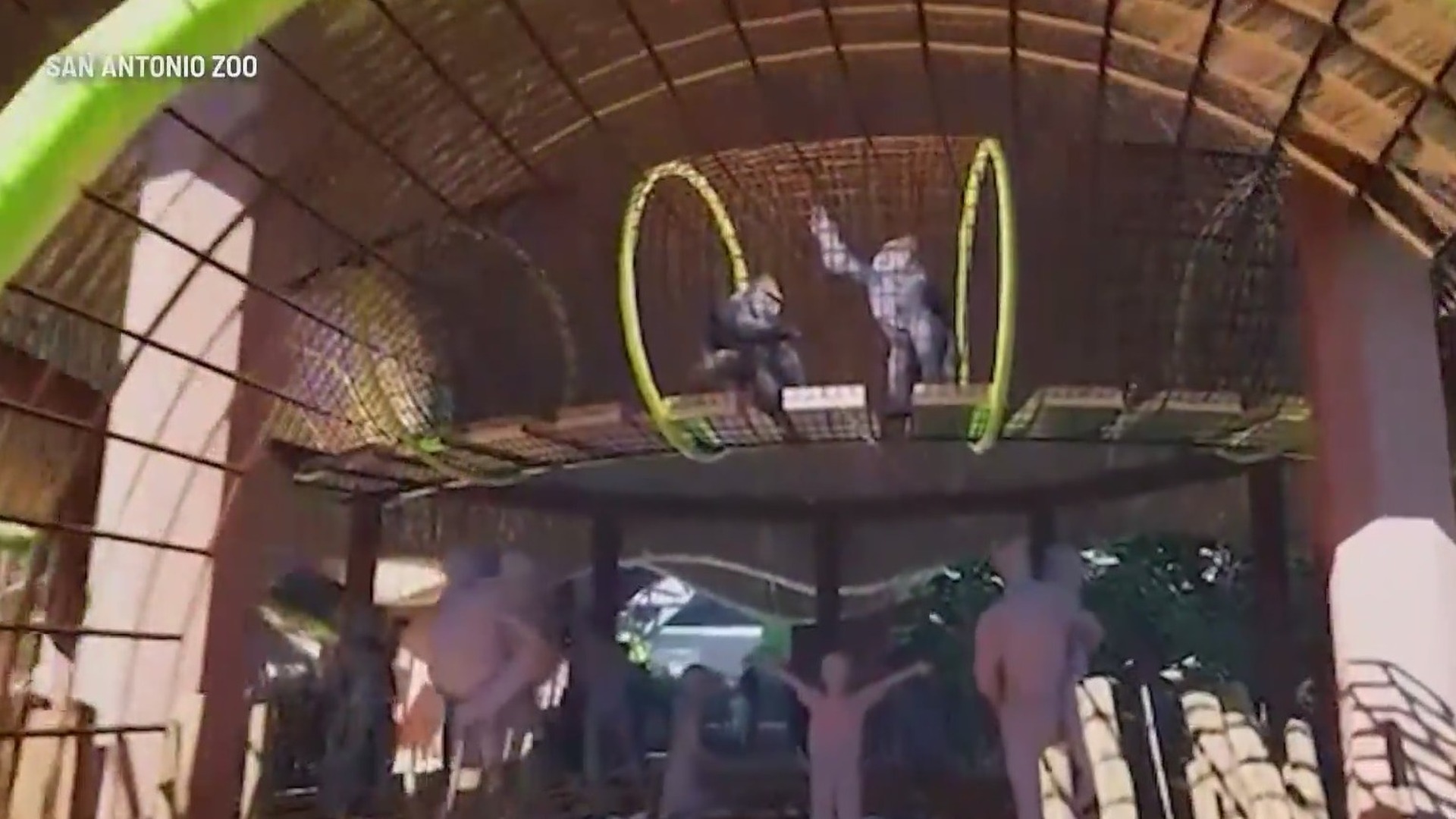 Explaining positive versus negative tilted troughs