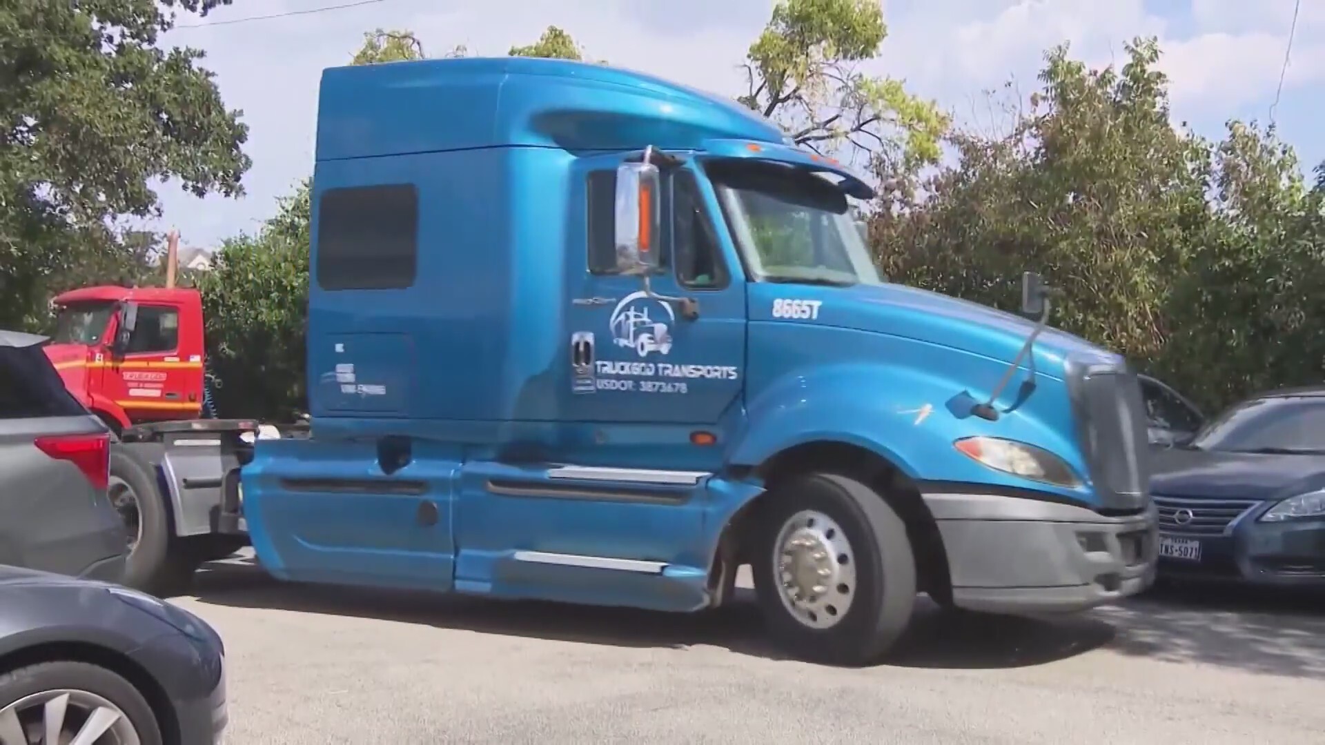 Video shows Amazon delivery driver take cat, family seeks answers ...