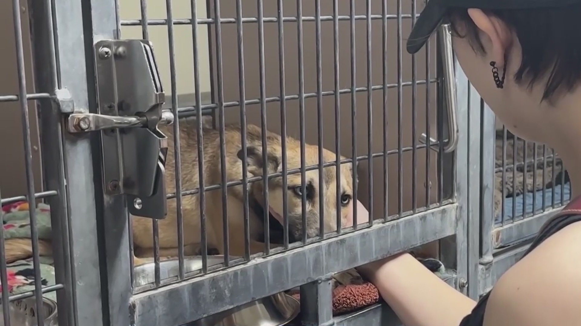 Eli Cooper Yorio strives to eliminate $2.6 million in medical debt in ...