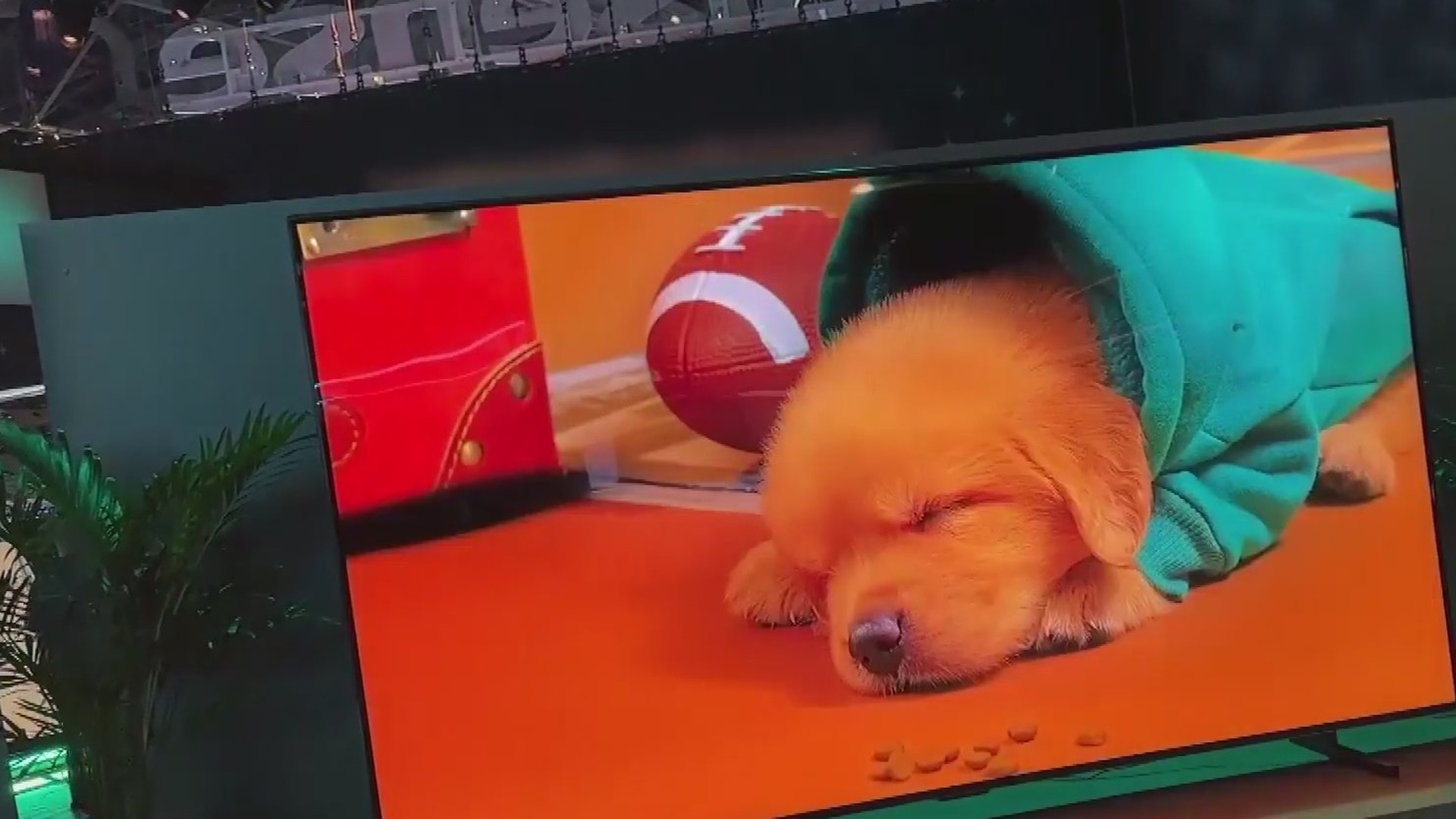 Texas bus driver lands in the Guinness Book of World Records | KXAN Austin