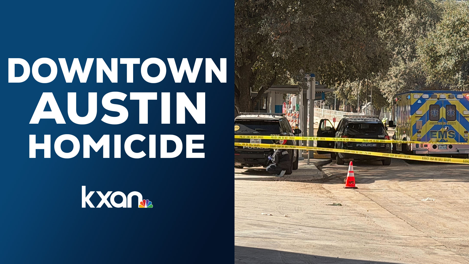 Free spay and neuter clinics offered in Austin for pets | KXAN Austin