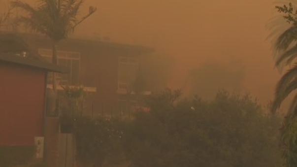 Pacific Palisades residents evacuate as wildfire rips through Los Angeles | The Hill – NewsNation