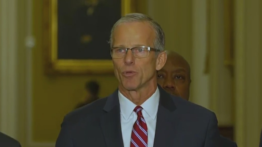 Senate GOP elects John Thune as majority leader | NewsNation Now ...