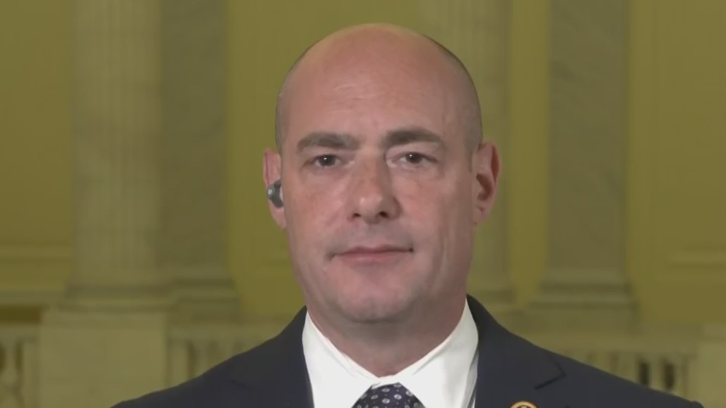 Rep. Greg Landsman: Democrats should embrace DOGE debate | The Hill ...