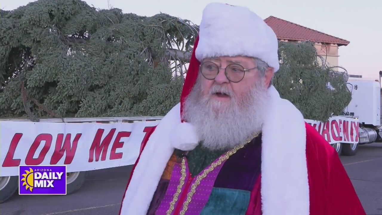 Arizona’s tallest fresh-cut Christmas tree arrives at Anthem Outlets ...