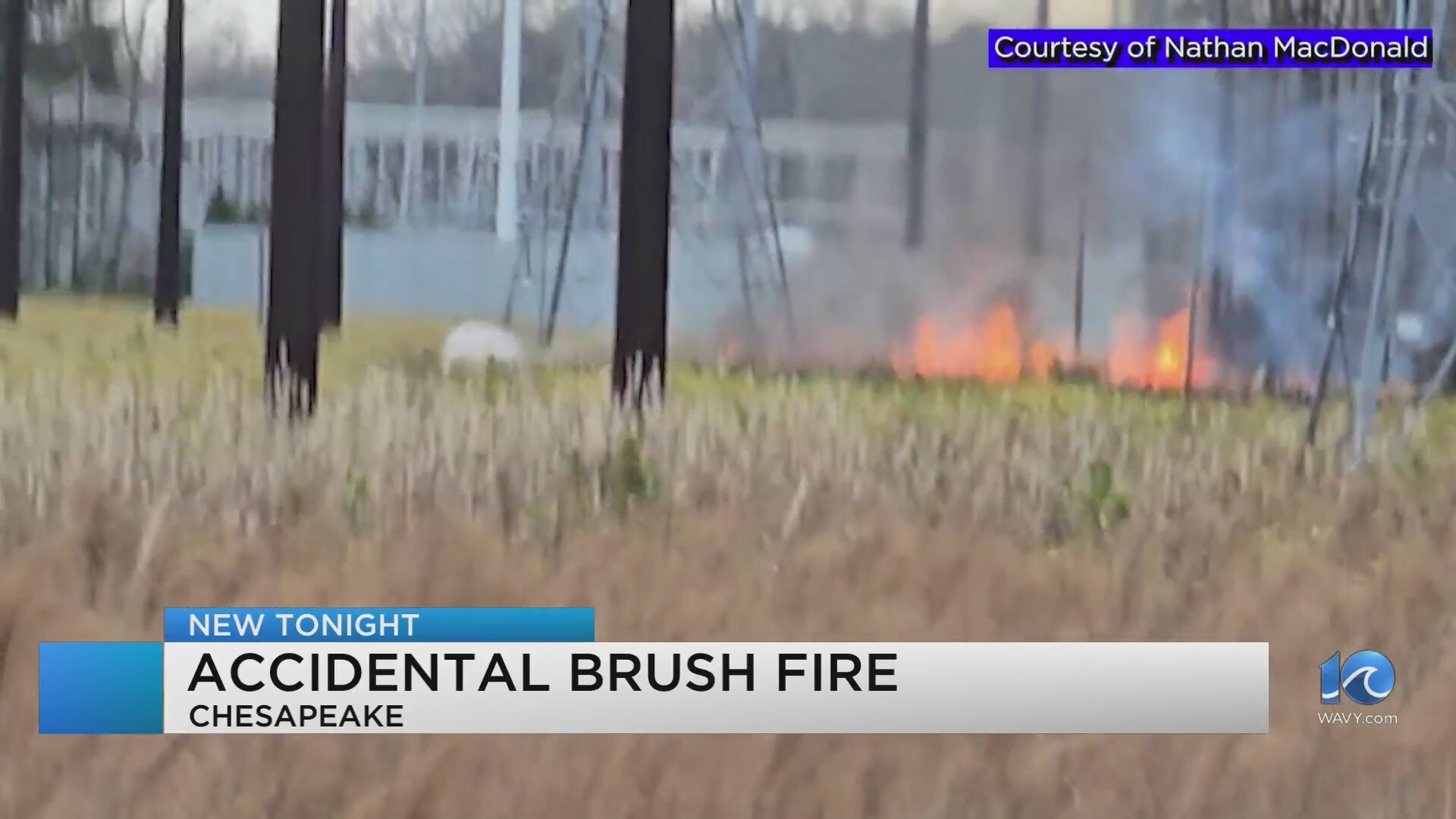 Brush fire in Chesapeake caused by downed powerline – WAVY.com