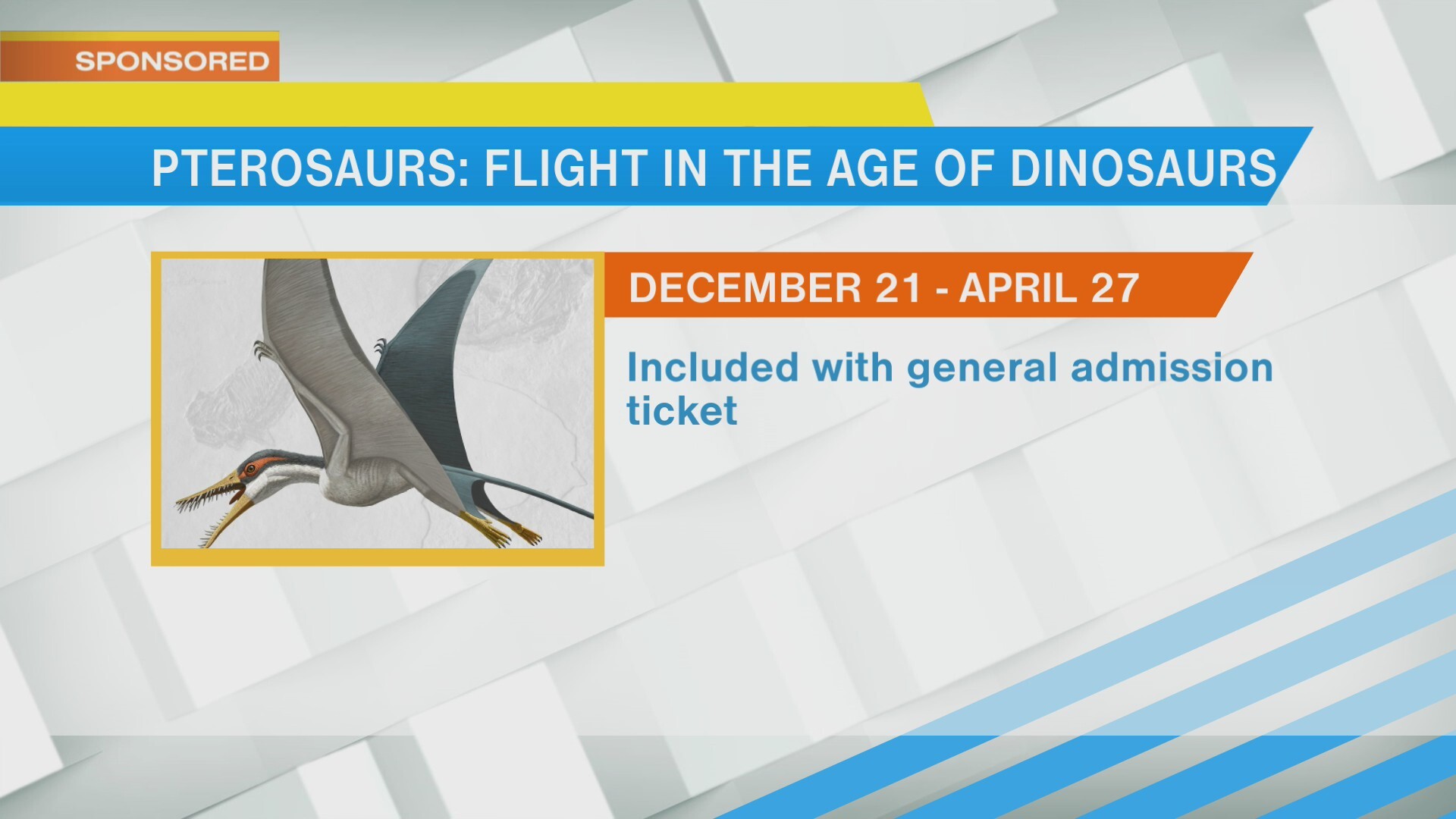 Get exciting look into prehistoric world of pterosaurs – who13.com