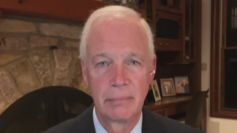 Mercy for Hunter Biden? Maybe, says Sen. Ron Johnson | Dan Abrams Live ...