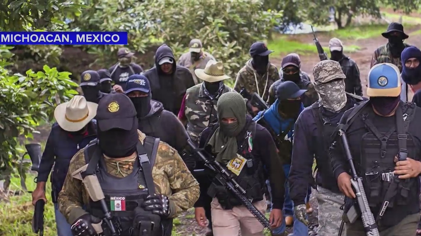 Texas lawmaker calls for cartel task force | NewsNation Prime – NewsNation