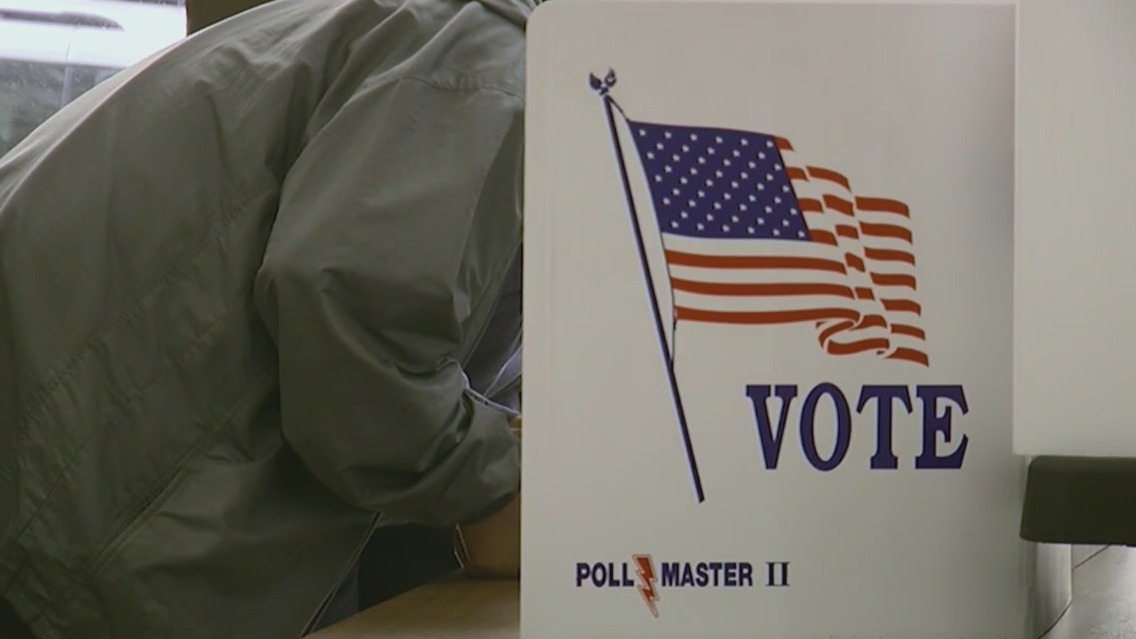 Almost half of all early voters are Democrats: Poll | NewsNation Live ...