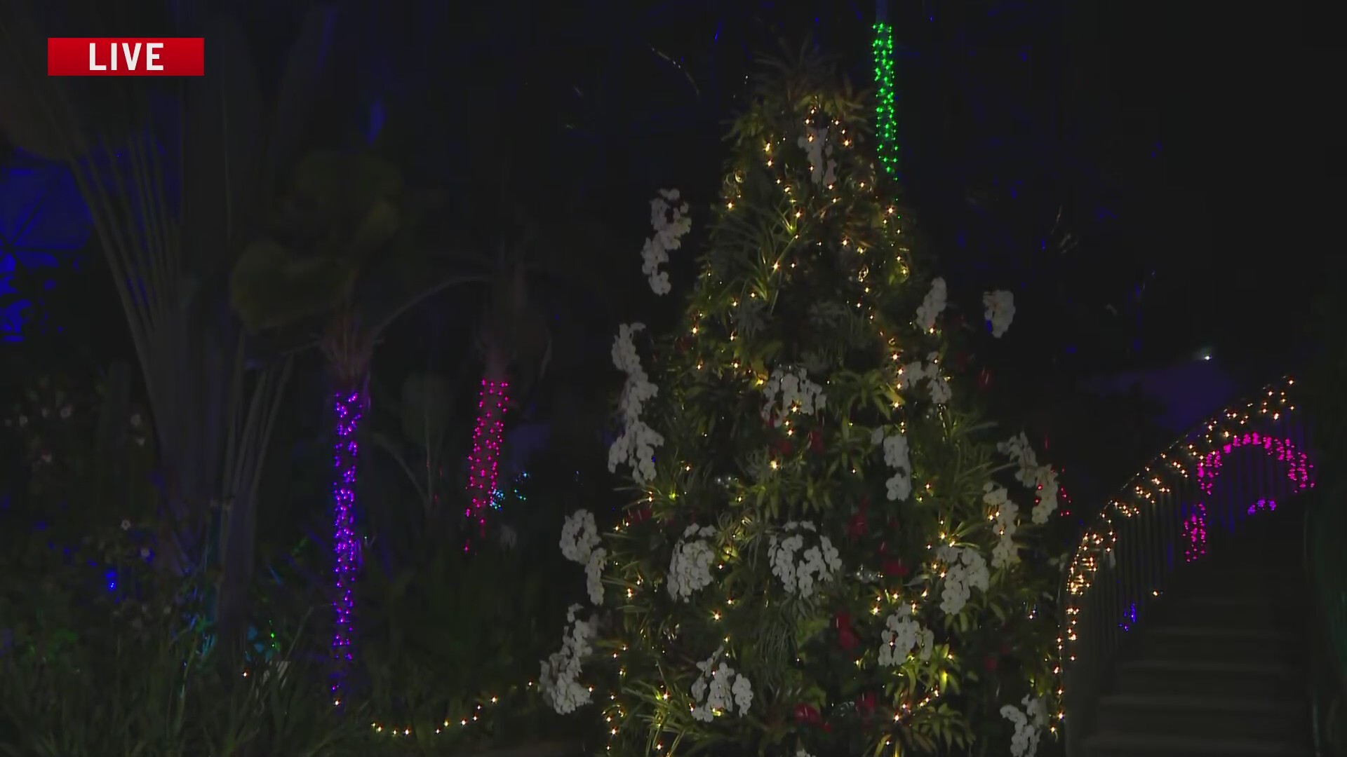 Dome for the Holidays light show – who13.com