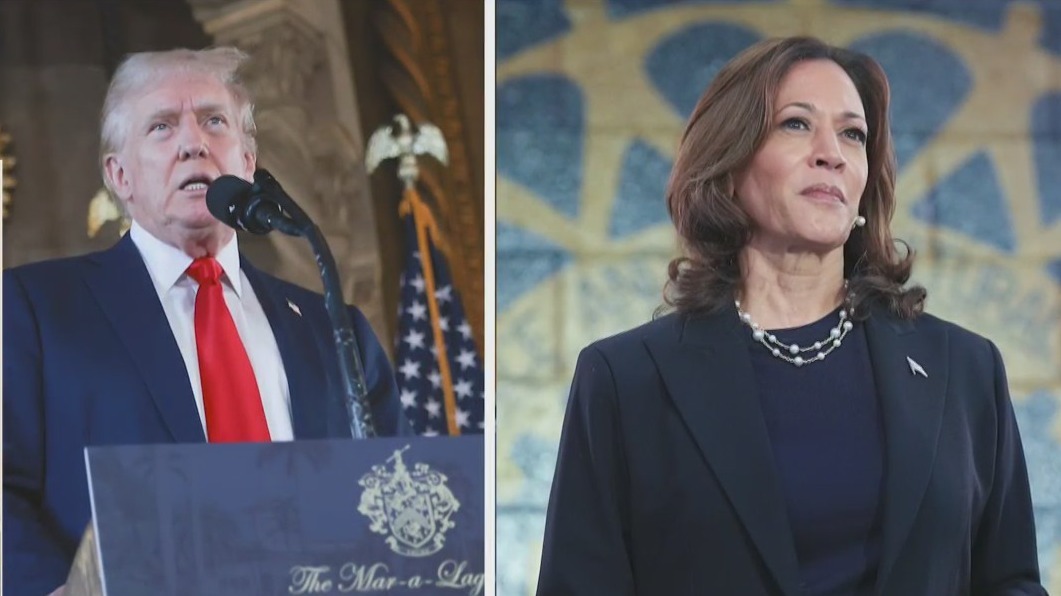 Harris should focus on abortion in closing speech: Political ...