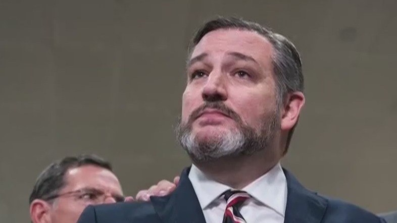 Could Ted Cruz lose his reelection race? | Dan Abrams Live – NewsNation