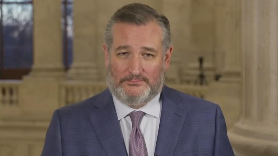 Sen. Ted Cruz ‘incredibly optimistic’ for government progress next year ...
