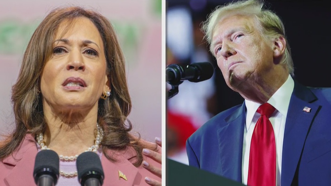 Harris’ speech was effective until Biden weighed in: Bob Cusack ...